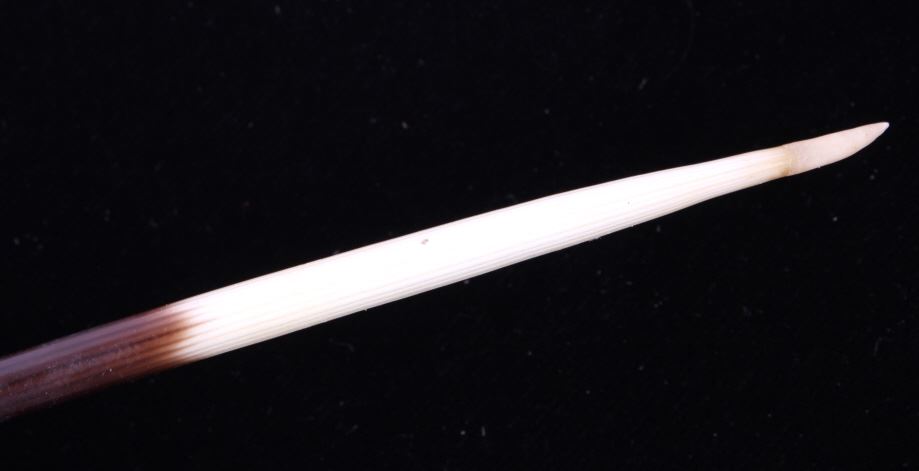 Porcupine Quill Fishing Floats