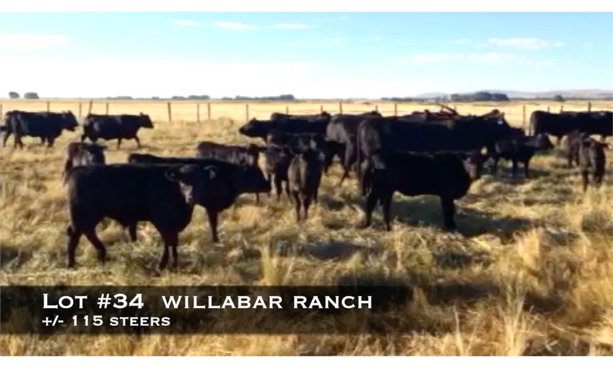 Willabar Ranch, Claresholm, Alberta