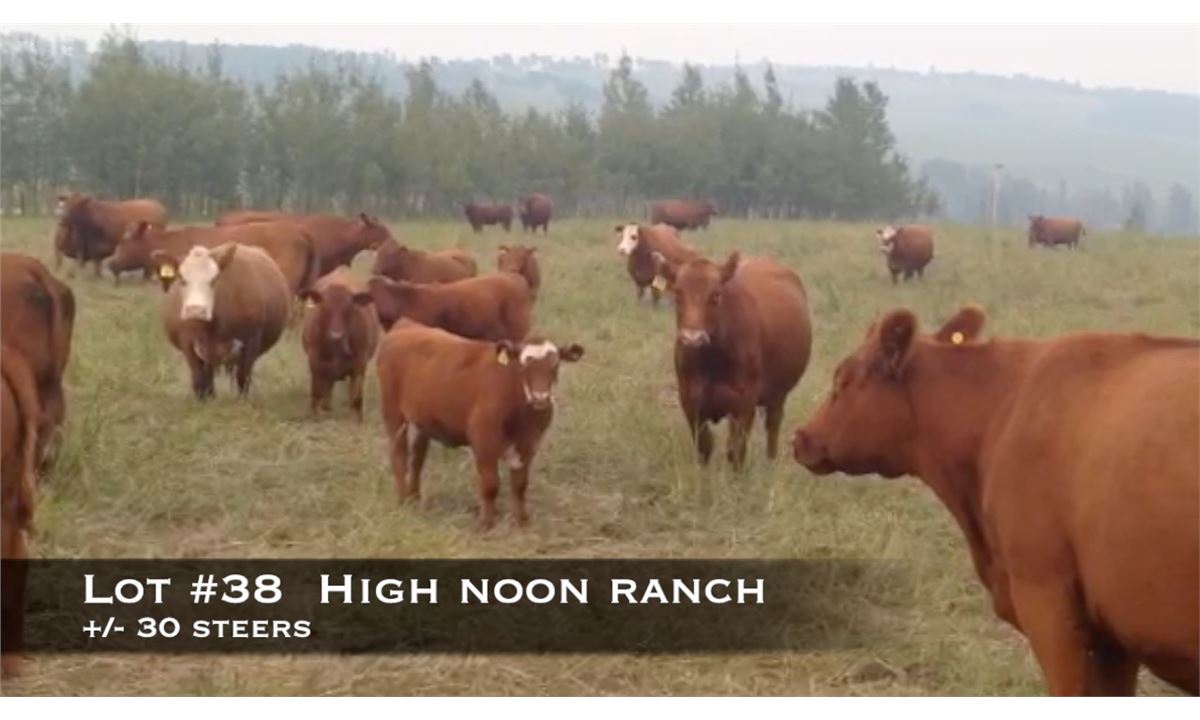 High Noon Ranch, Turner Valley, Alberta