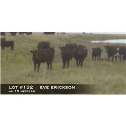 Eve Erickson, Consul, Saskatchewan