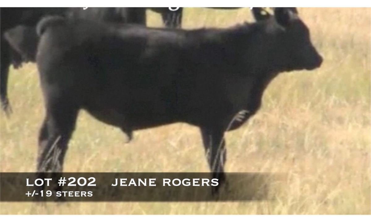 Jeane Rogers, Sunnynook, Alberta