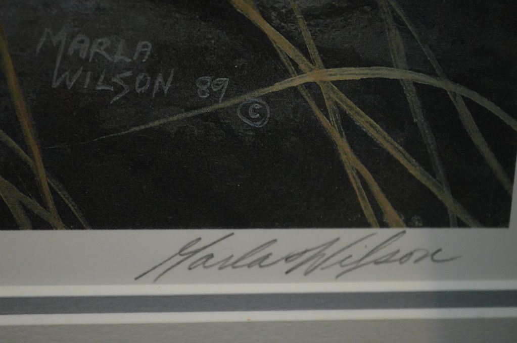 Framed limited edition print "The Glaucous Winged Gull" pencil signed ...