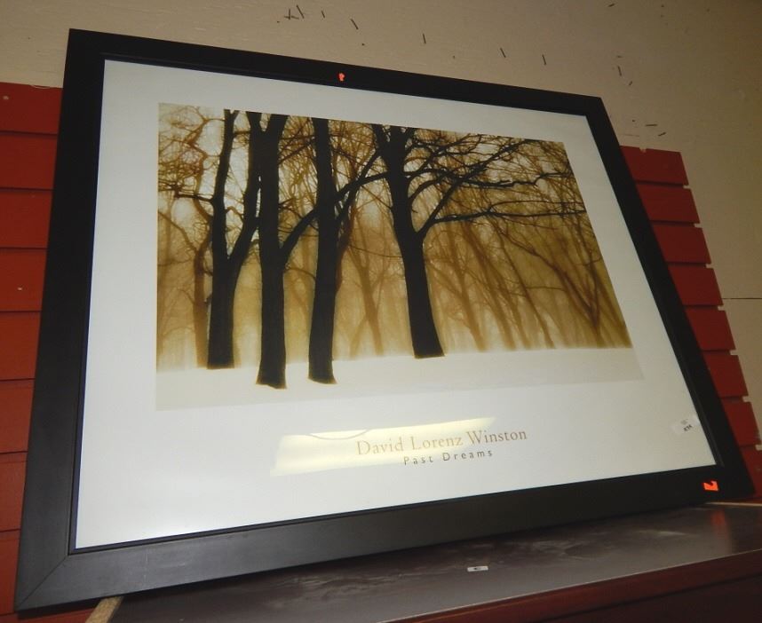 FRAMED PRINT - DAVID LORENZ WINSTON - DUST DREAMS