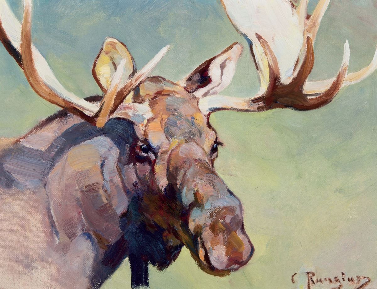 Collection of 8 Portraits