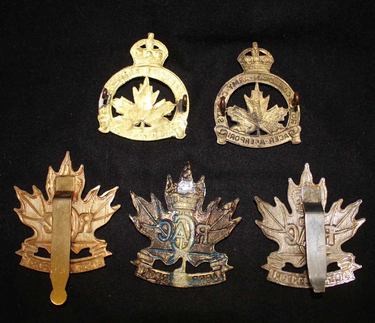 D93. Royal Canadian Army Cadets Cap Badge