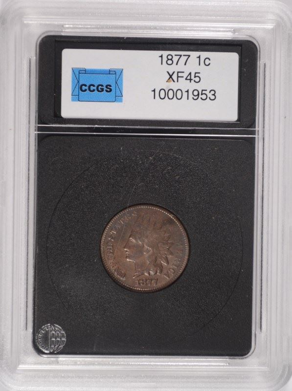 1877 INDIAN HEAD CENT, CCGS XF/AU RARE KEY COIN, NICE CHOCOLATE BROWN COLOR