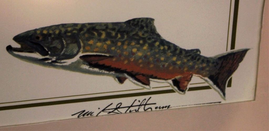 Mike Stidham Trout Flies Print