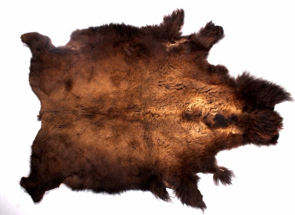 Montana Wild Buffalo Fur Hide Rug