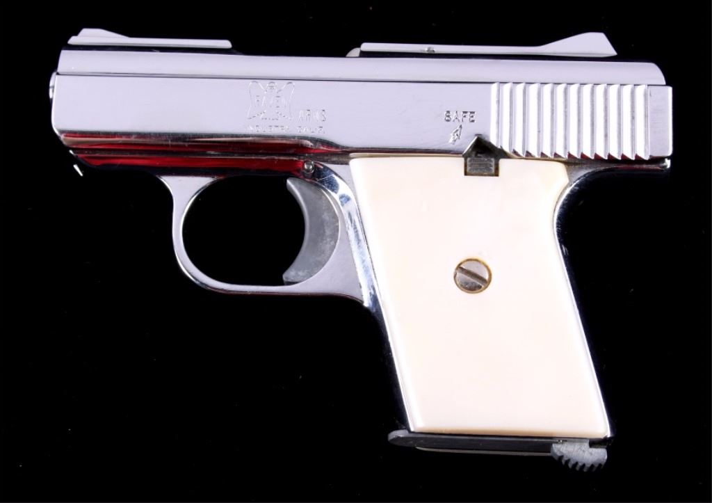 Raven Arms Model MP-25 .25 Auto Pistol in Nickel
