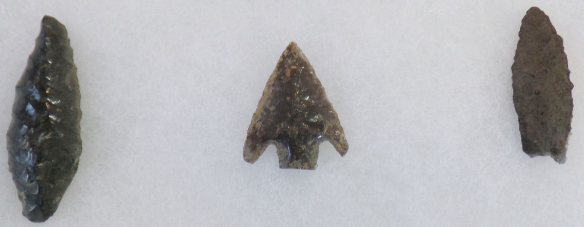 Oregon Paleo Artifacts