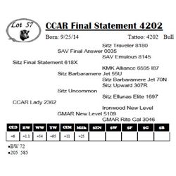 Lot 57 - CCAR Final Statement 4202