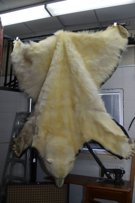 Large Polar bear skin rug with double felt lining, claws and open mouth ...