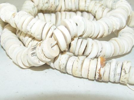 Shell Disc Beads