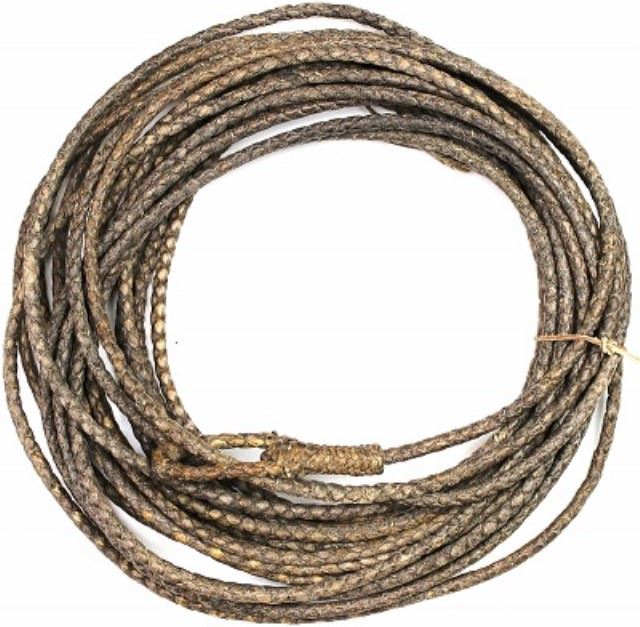 Impressive braided rawhide reata