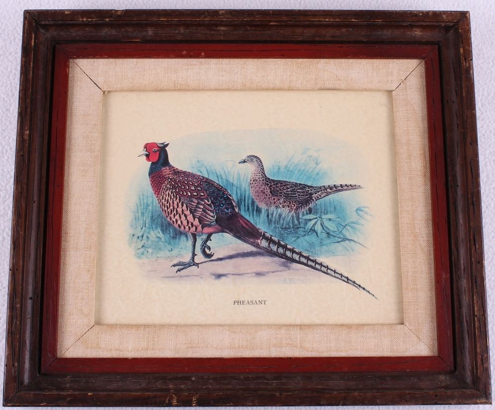 Edward Neale Signed "Pheasant" 12x14 Custom Framed Lithograph (PA LOA)