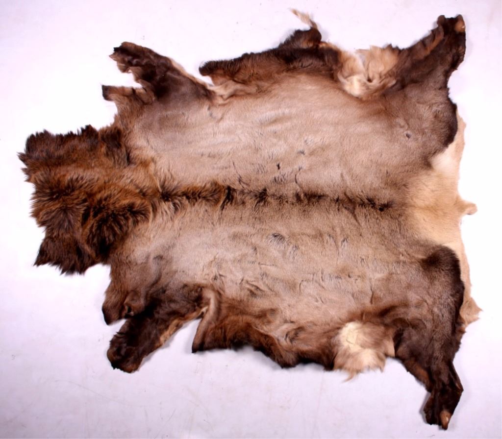 Montana Tanned Elk Hide