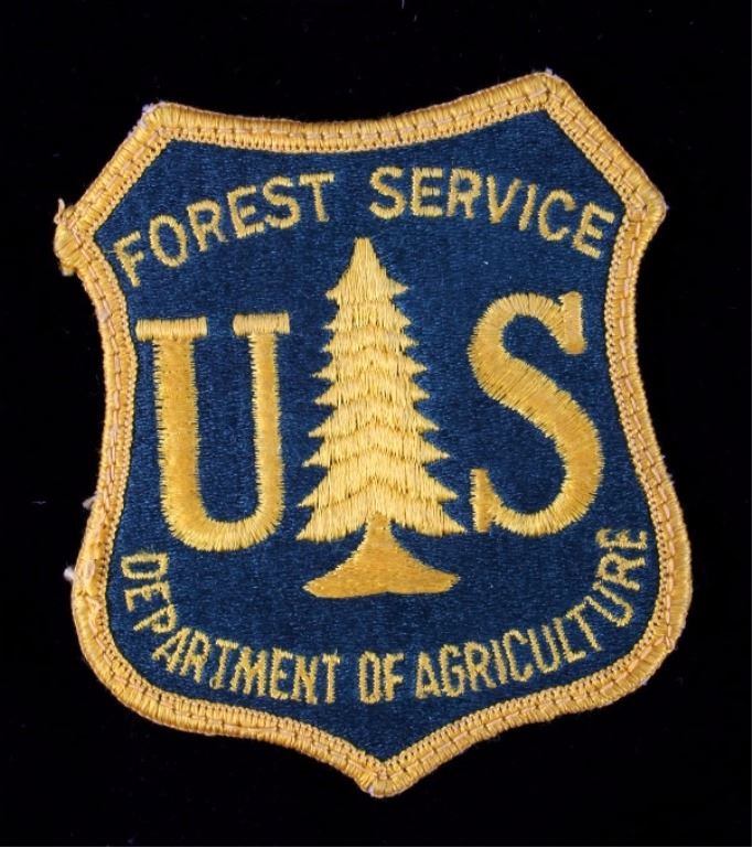 U.S. Forest Service Badge Pin and Patch