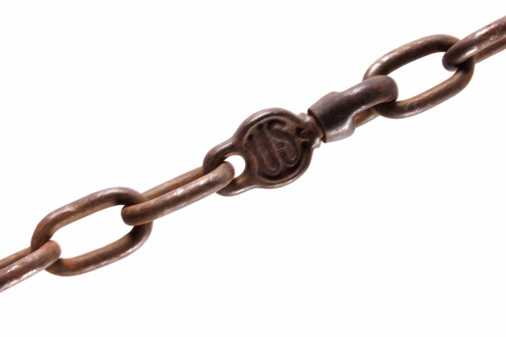 19th Century US Cavalry Horse or Mule Chain