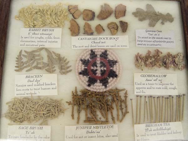 Navajo Framed Medicinal Plants & Herbs Display