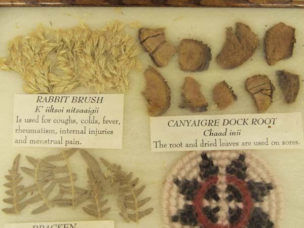 Navajo Framed Medicinal Plants & Herbs Display