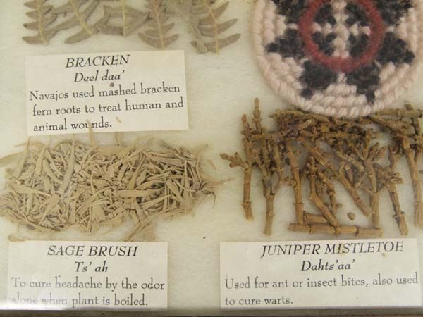 Navajo Framed Medicinal Plants & Herbs Display