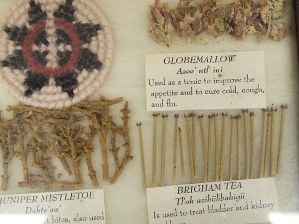 Navajo Framed Medicinal Plants & Herbs Display