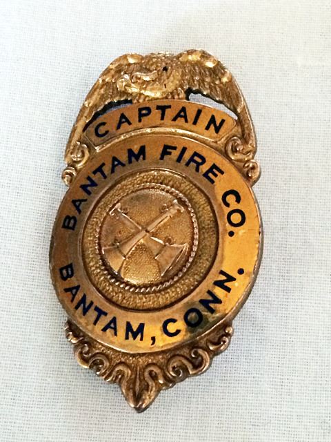 Collection of 7 Badges