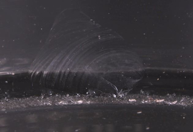 Calirox Glass Cookie Jar