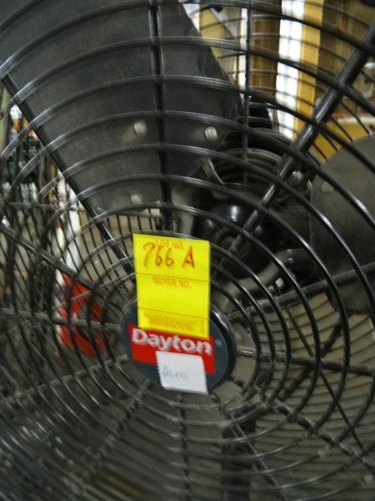 Dayton Pedestal Fan