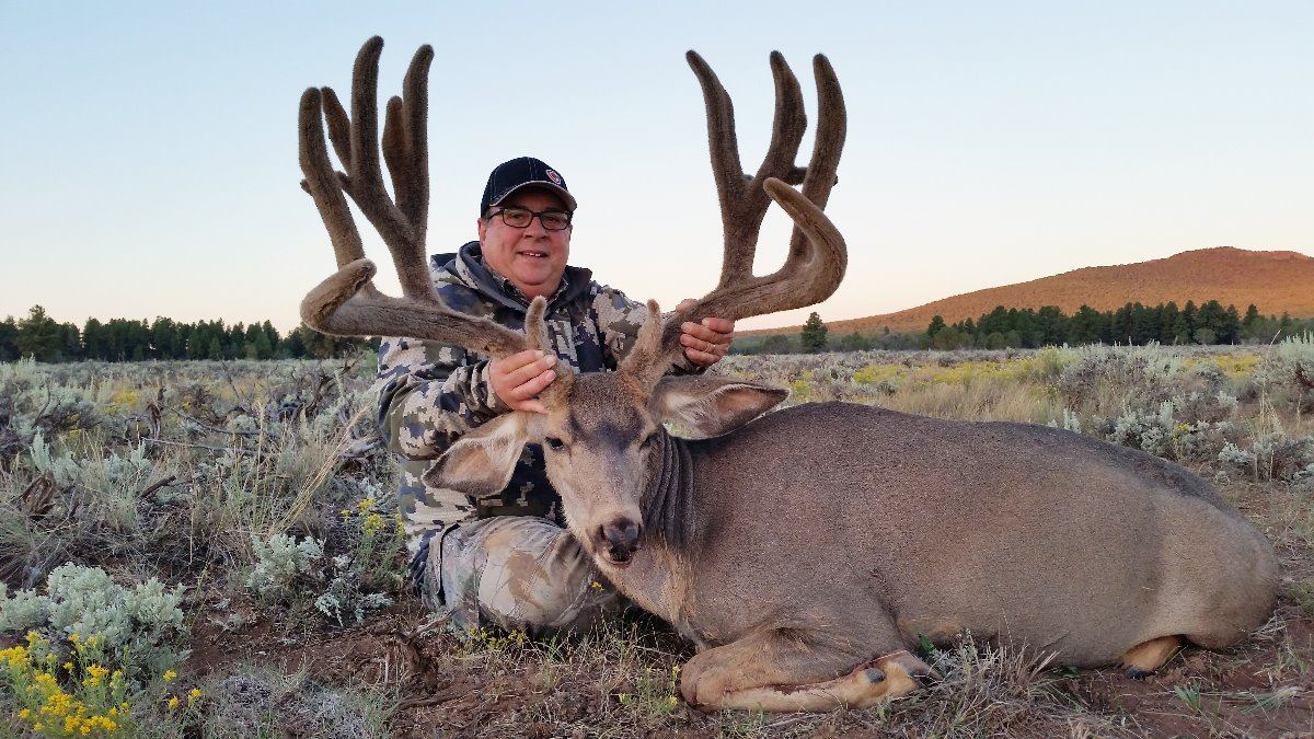 2017 Arizona Special License Mule Deer Tag 2017-arizona-special-license-mule-deer-tag