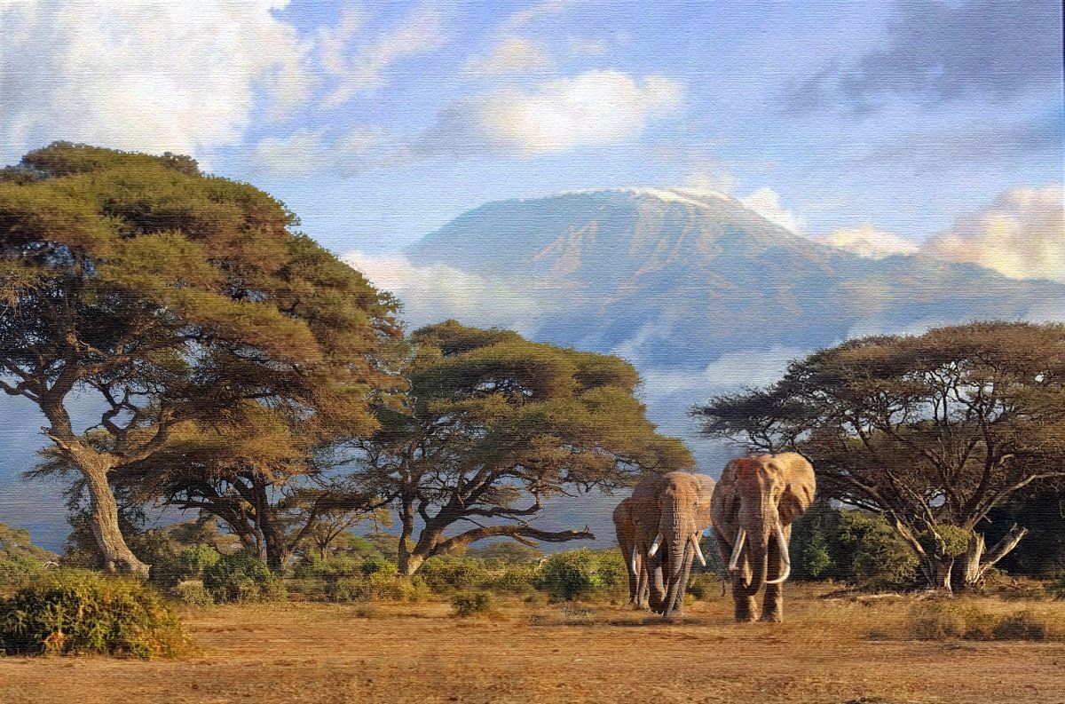 DAWIE FOURIE God s Own Country Original Oil On Canvas By African dawie-fourie-god-s-own-country-original-oil-on-canvas-by-african