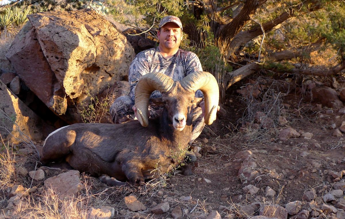 New Mexico Desert Bighorn Sheep Permit