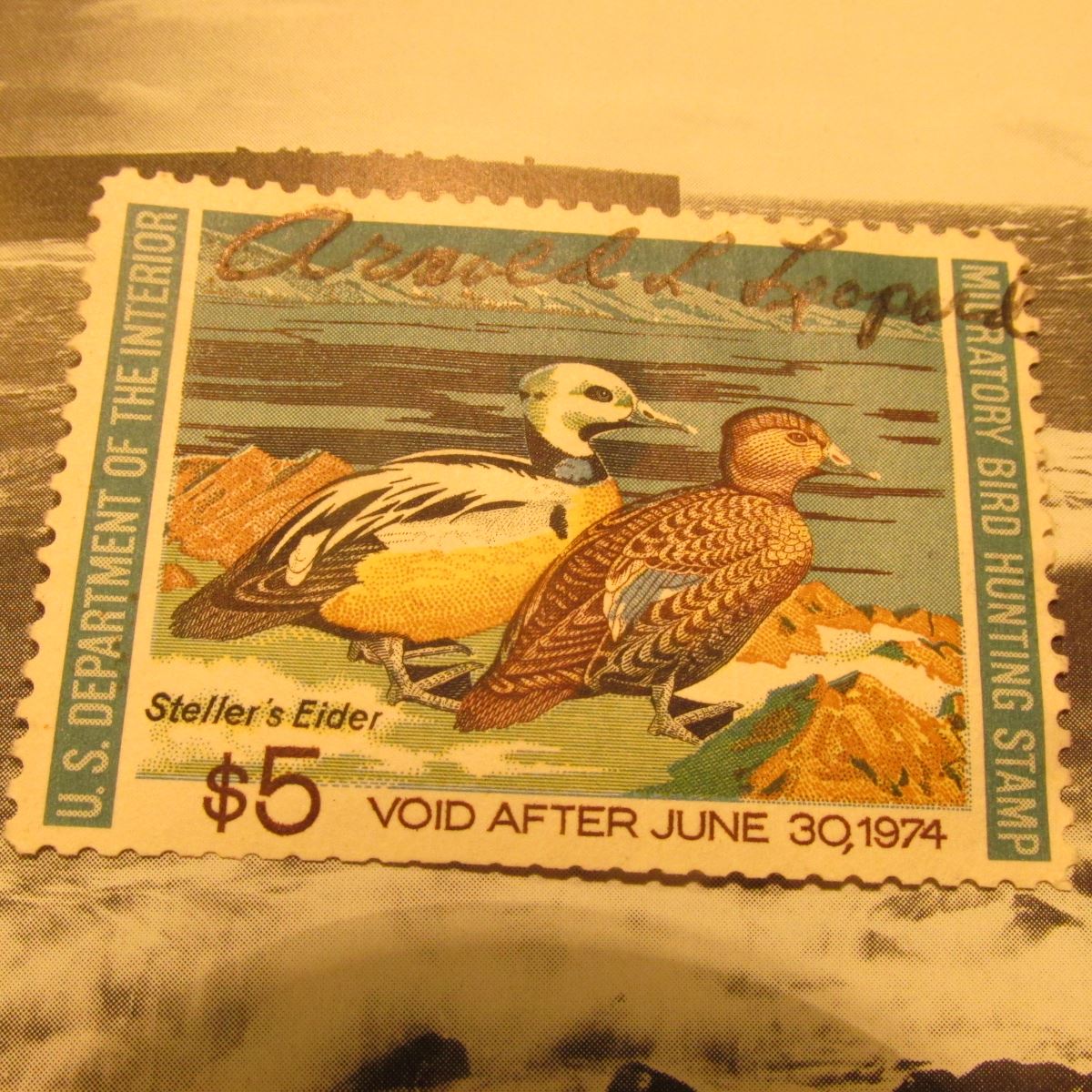 RW40 Signed U.S. Department of the Interior Migratory Bird Hunting ...