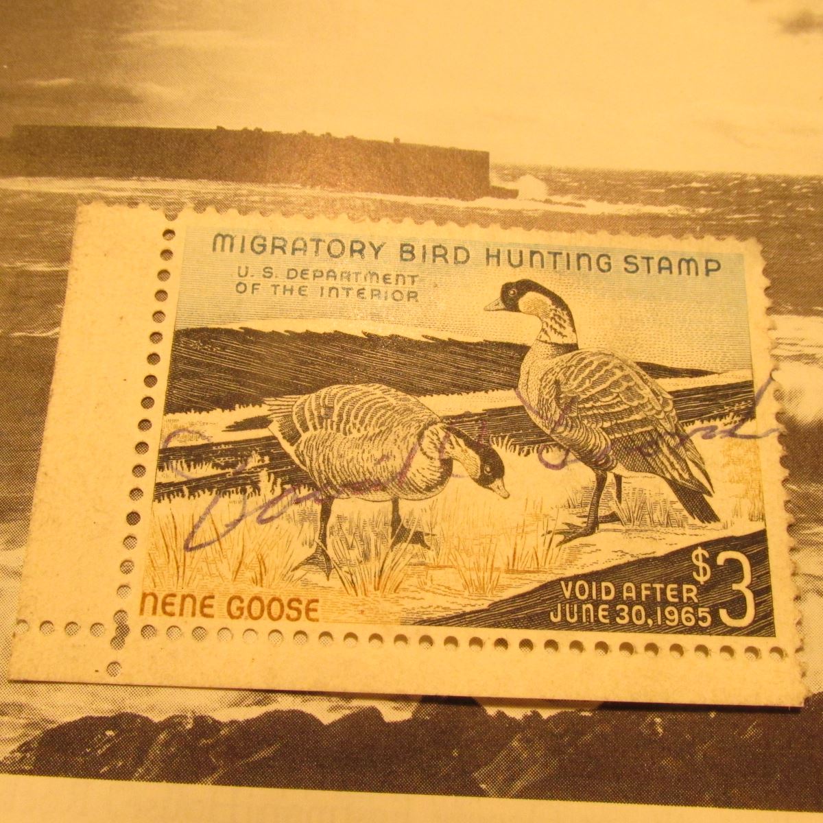 RW30 Signed U.S. Department of the Interior Migratory Bird Hunting ...