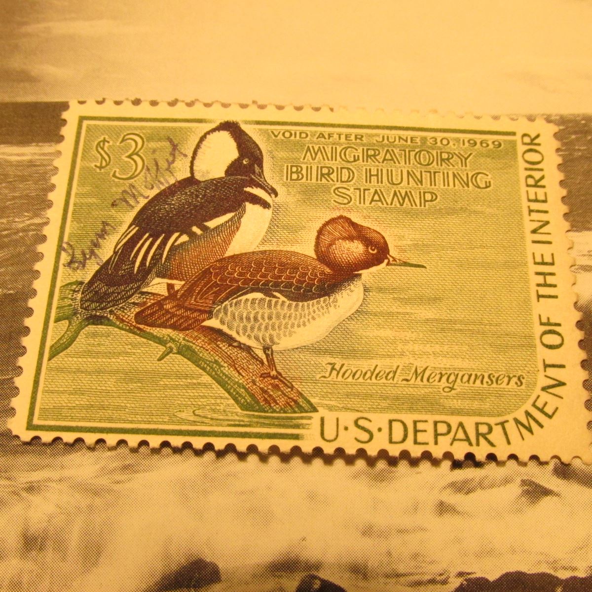 RW35 Signed U.S. Department of the Interior Migratory Bird Hunting ...