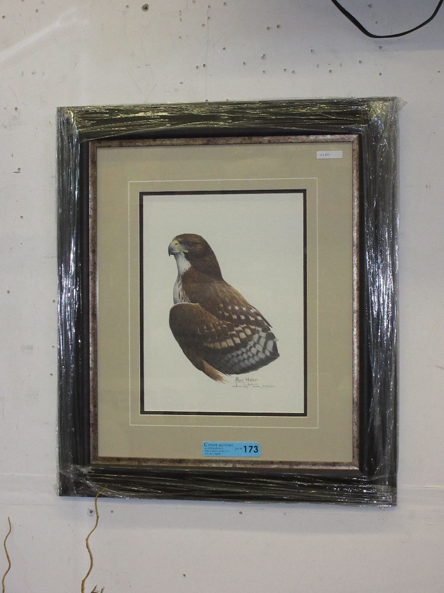 Ray Harm limited edition print "Red Tailed Hawk"