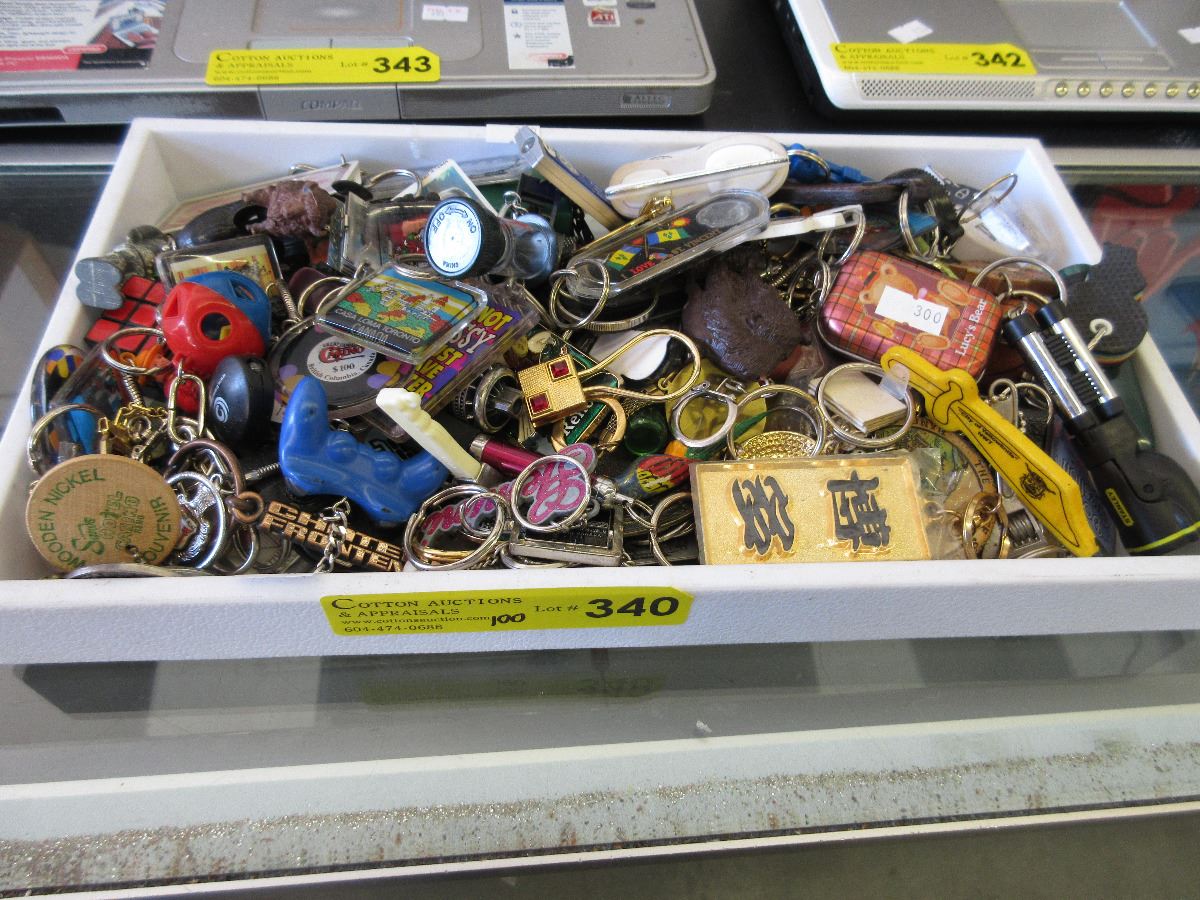 100 Assorted collectible keychains
