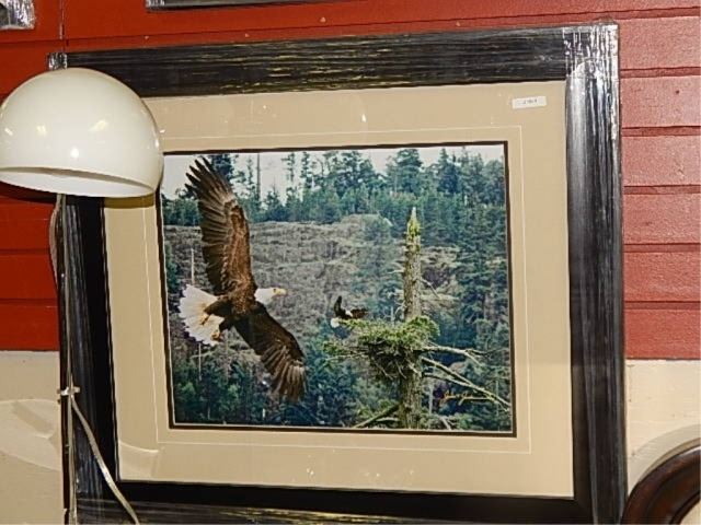 FRAMED OPEN EDITION PRINT - EAGLES DOMAIN - JAMES T JONES - GALLERY ...