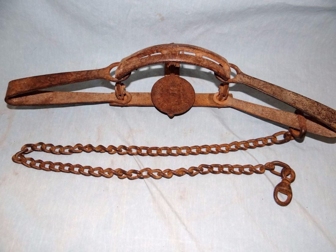 Newhouse #14 trap w/teeth and chain