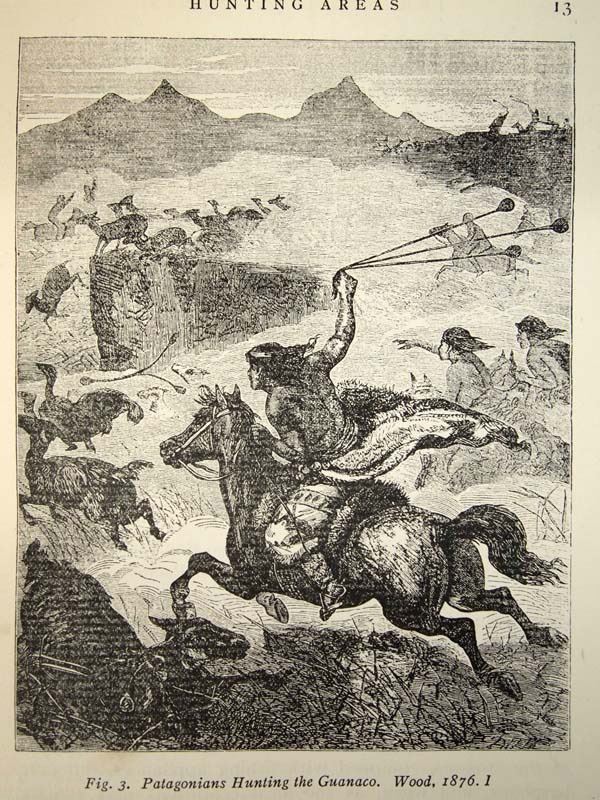 The American Indian by Clark Wissler Hardback Book