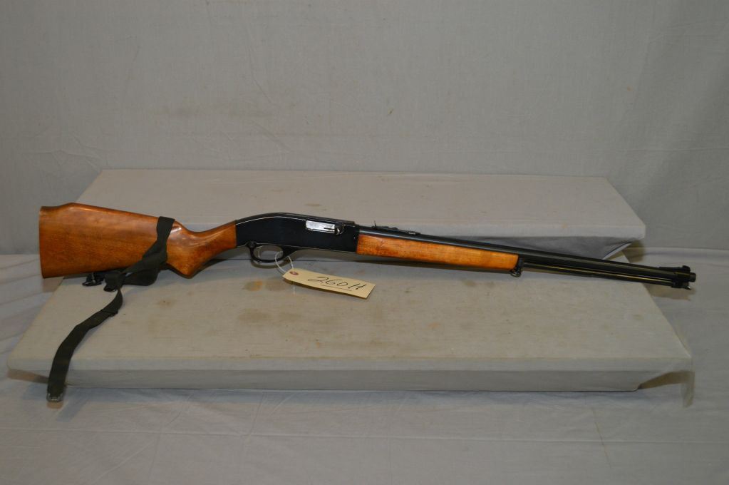 Remington Model 150 .22 LR Cal Tube Fed Semi Auto Rifle w/ 22" bbl ...