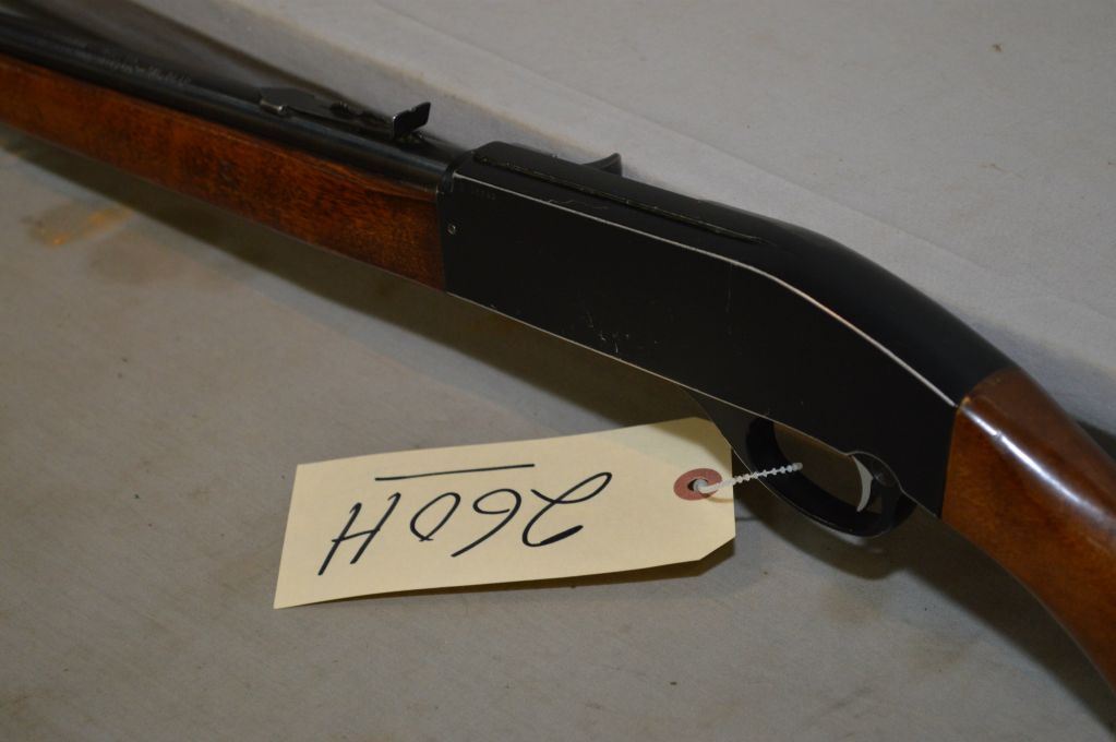 Remington Model 150 .22 LR Cal Tube Fed Semi Auto Rifle w/ 22" bbl ...