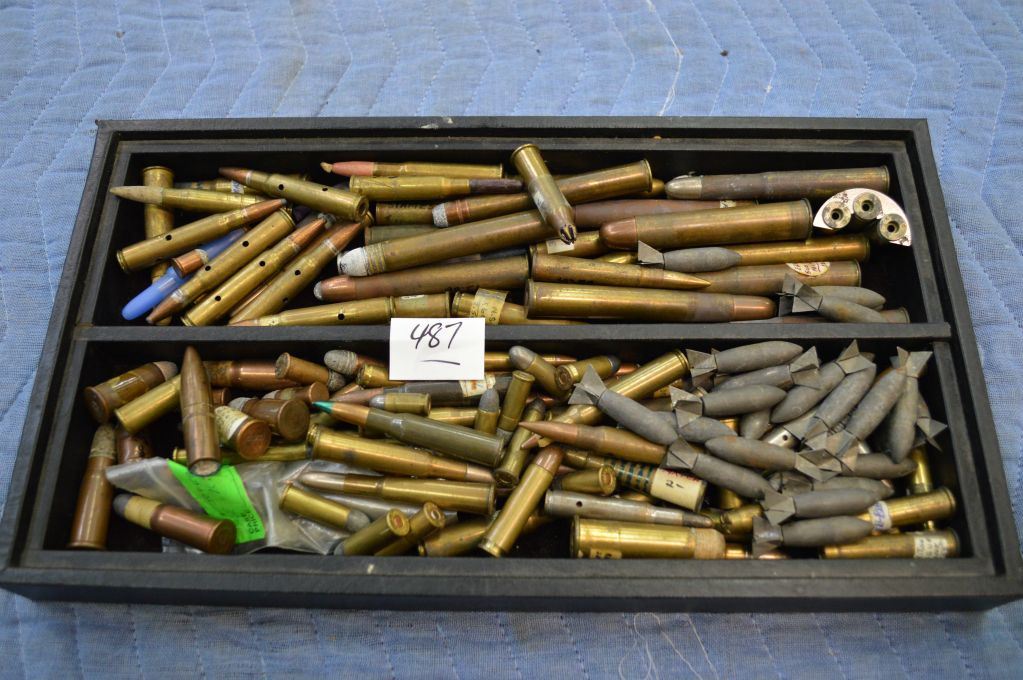 Black Tray Full of Collector's Bullets : .577 Rimfire Nitro, .56 ...