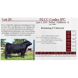 DLCC Ranch Bulls