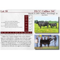 DLCC Ranch Bulls