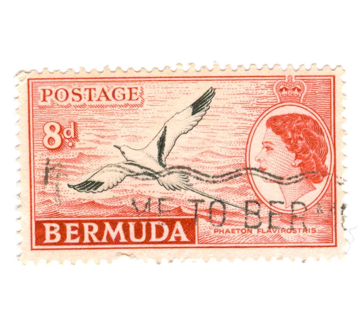 24515676_1.jpg?v=8D36086E9267DF0