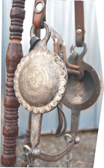 bridle with Vogt silver bit