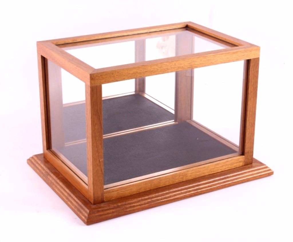 Montana Timber Wolf Skull in Oak Display Case
