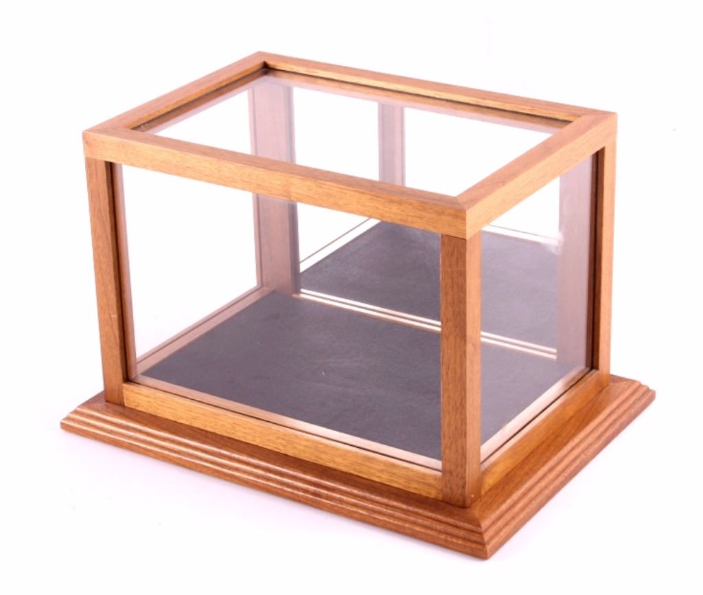 Montana Timber Wolf Skull in Oak Display Case