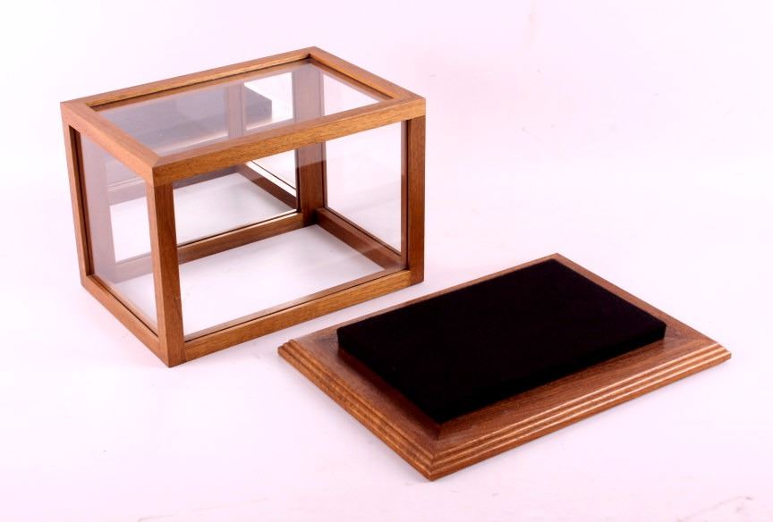 Montana Timber Wolf Skull in Oak Display Case